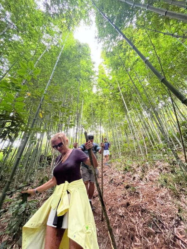 Sa Pa: Cang Hmong Sapa Trekking Tour - Key Points