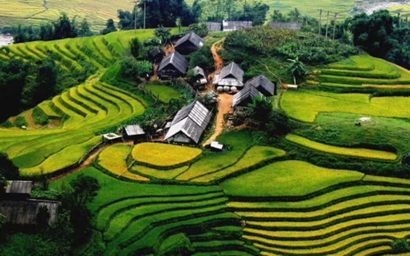 Sa Pa: Discover Fansipan Mountain Trek with Homestay 3 days - The Itinerary in Detail: What You’ll Actually Do