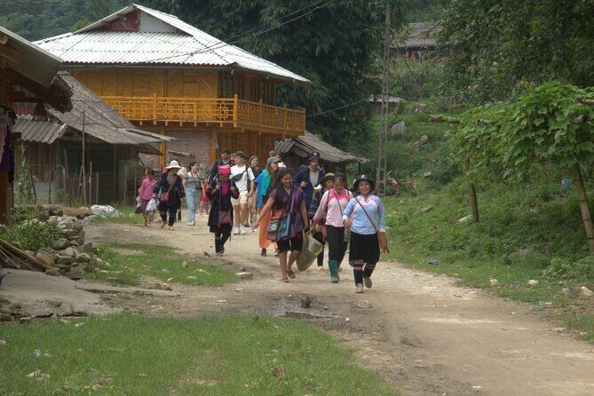 Sa Pa Full Day Trekking Tour - Potential Drawbacks