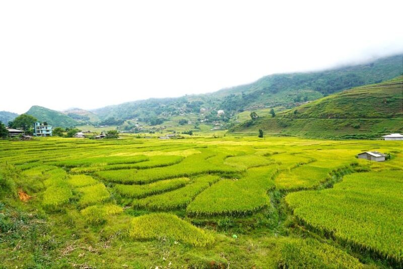 Sa Pa: Half-Day Cat Cat Village Hike to Meet H'mong People - Is It Worth the Price?