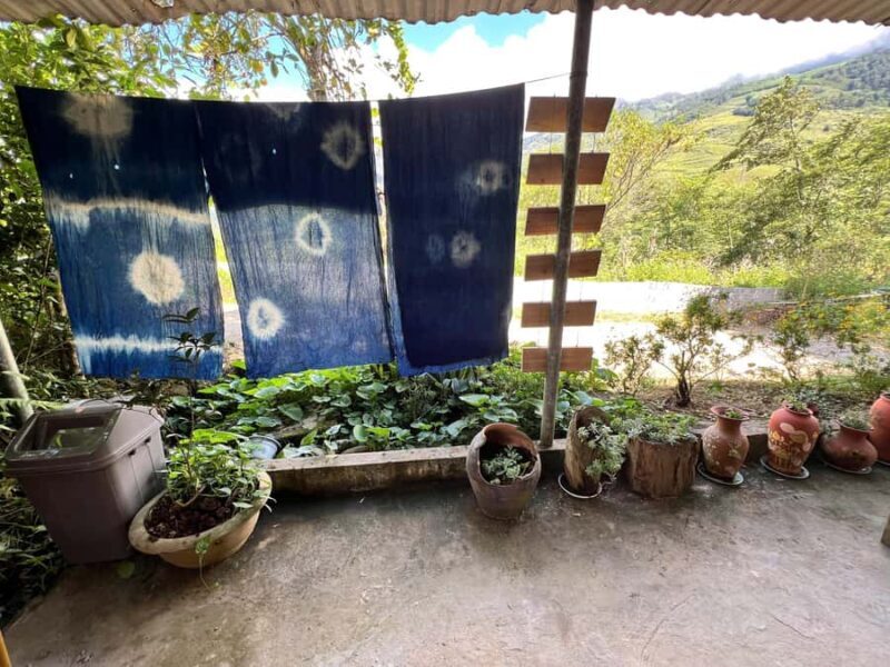 Sa Pa - Indigo Dyeing  Hands-On Craft Experience - Key Points