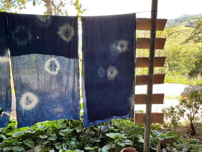 Sa Pa - Indigo Dyeing  Hands-On Craft Experience - What to Expect from Your Indigo Dyeing Experience