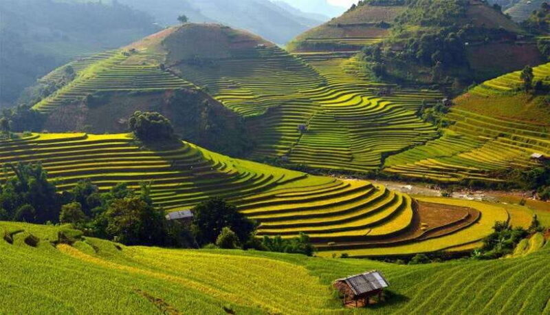 Sa Pa: Muong Hoa Valley Trek and Local Ethnic Villages - Key Points