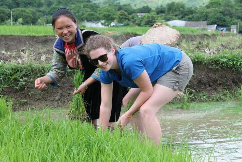 Sa Pa: Muong Hoa Valley Trek and Local Ethnic Villages - Introduction: Is This Tour For You?