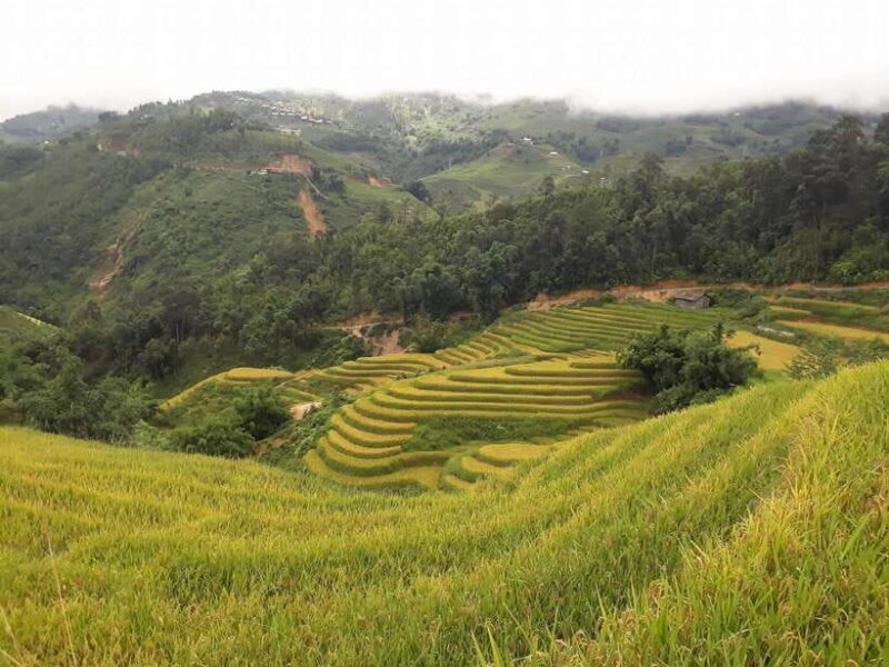 Sa Pa: Muong Hoa Valley Trek and Local Ethnic Villages - The Experience: Is It Worth The Price?