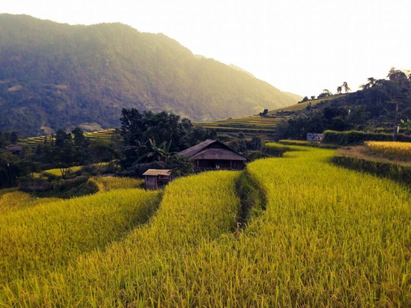 Sa Pa: Muong Hoa Valley Trek and Local Ethnic Villages - Authenticity vs. Tourism: Whats the Real Deal?