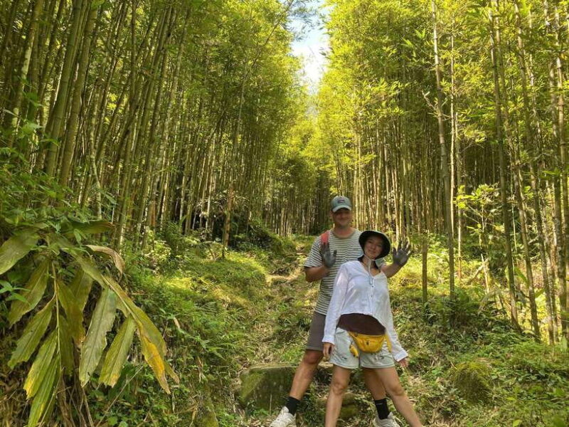 Sa Pa: Muong Hoa Valley Trek and Local Ethnic Villages - The Sum Up: Who Should Consider This Tour?