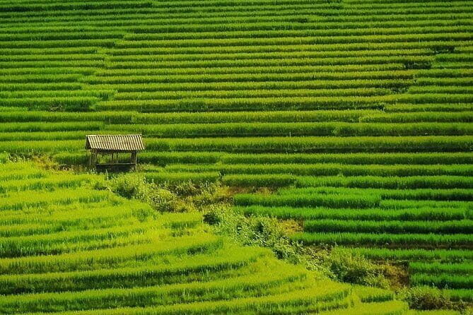Sa Pa Trekking 2 Days 3 Nights Homestay by Night Train - The Journey Begins: From Hanoi to Sapa in Style