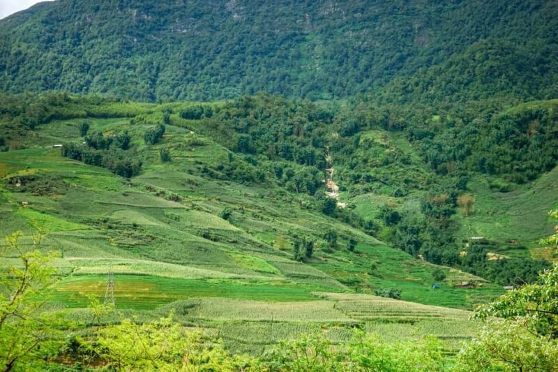 Sa Pa: Villages and Rice Fields Private Half-Day Car Tour - Who Should Consider This Tour?