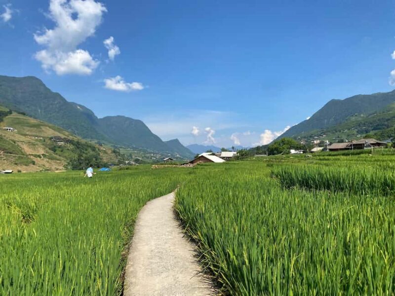 Sa Pa: Villages and Rice Fields Private Half-Day Car Tour - FAQs