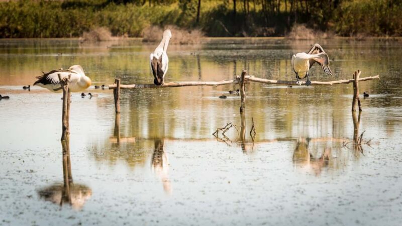 SA Riverland: 3-Day Murray River & National Parks Eco Tour - An Introduction to the Murray River & Riverland Experience