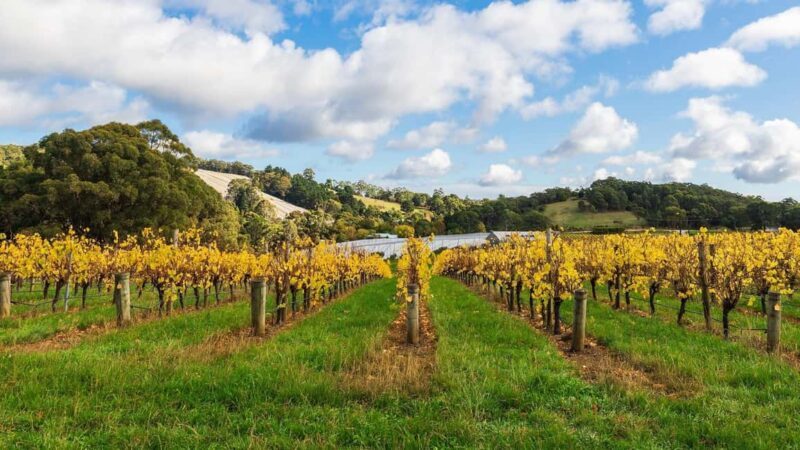 SA Riverland: 3-Day Murray River & National Parks Eco Tour - Authentic Feedback from Travelers
