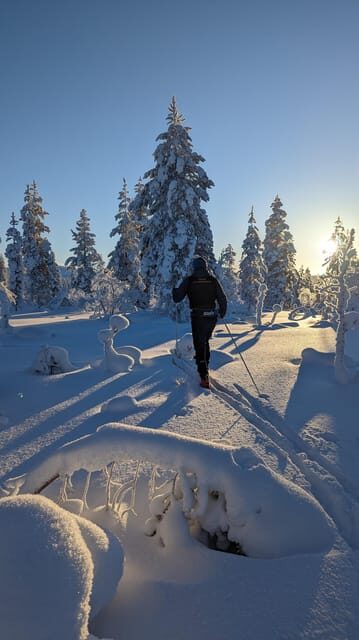 Saariselkä: Back-Country Skiing Guided Tour - An In-Depth Look at the Tour Experience