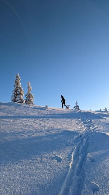 Saariselkä: Back-Country Skiing Guided Tour - FAQs