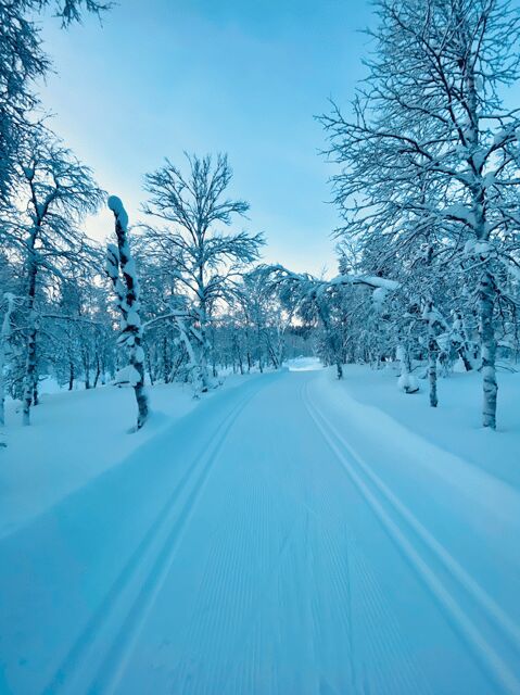 Saariselkä: Cross-Country Skiing for beginners - Frequently Asked Questions