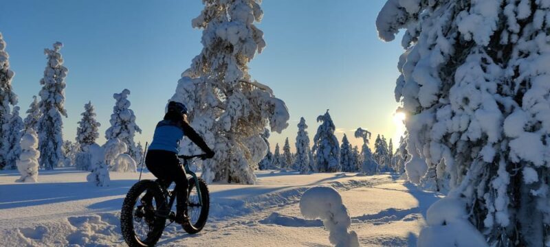 Saariselkä: Guided Fatbike Tour - Key Points