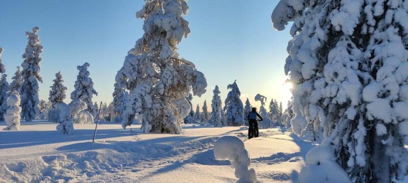 Saariselkä: Guided Fatbike Tour - An Introduction to Saariselkä’s Fatbike Experience