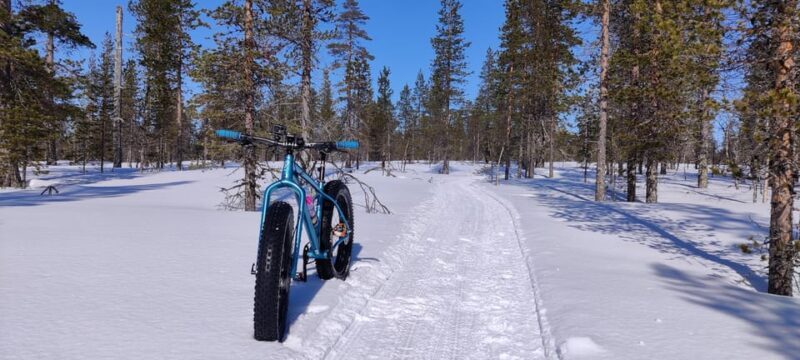 Saariselkä: Guided Fatbike Tour - Who Will Love This Tour