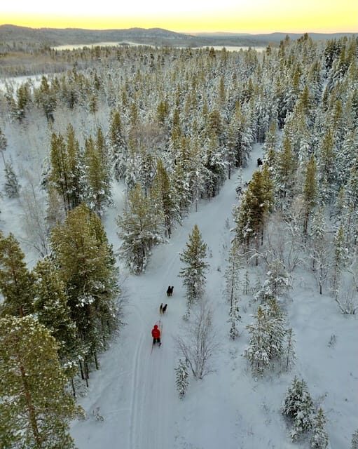 Saariselkä: Husky Safari with kennel visit - Authentic, Small-Scale Experience