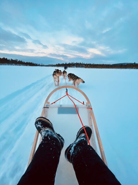 Saariselkä: Husky Safari with kennel visit - Who Should Book?