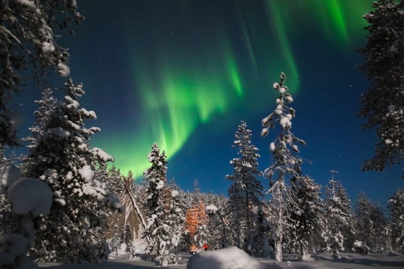 Saariselkä: Northern Lights Hunting Snowshoe Trip - Key Points