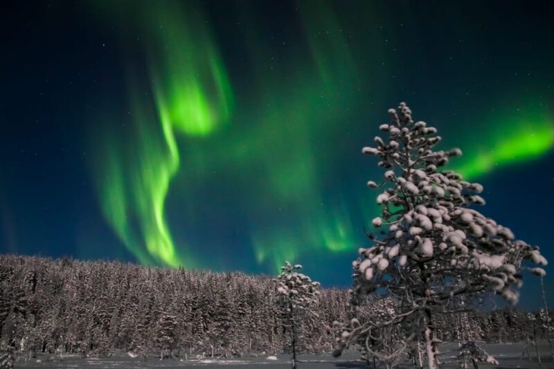 Saariselkä: Northern Lights Hunting Snowshoe Trip - The Itinerary in Detail