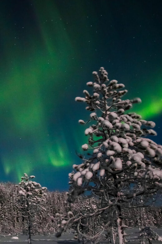 Saariselkä: Northern Lights Hunting Snowshoe Trip - Final Thoughts: Worth It for Nature and Comfort