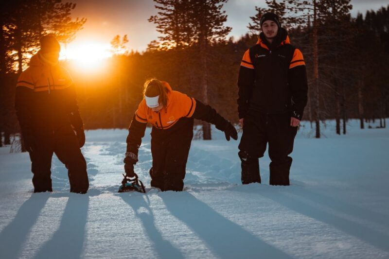 Saariselkä: Scenic Snowshoe Safari - The Itinerary in Detail