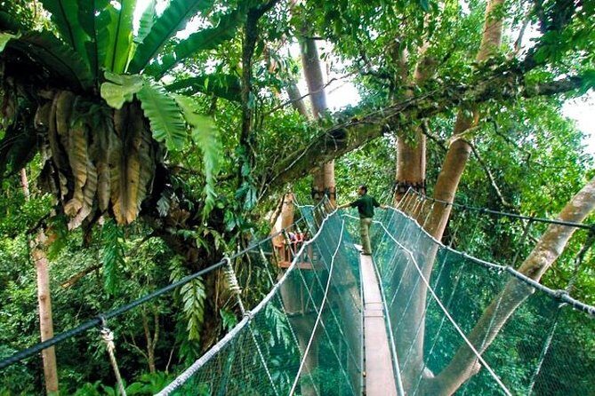 Sabah Highlights Adventure 7D/6N - Key Points