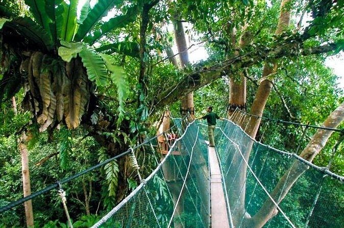 Sabah Highlights Adventure 7D/6N - Final Thoughts