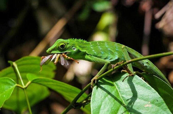 Sabah Highlights Adventure 7D/6N - FAQ