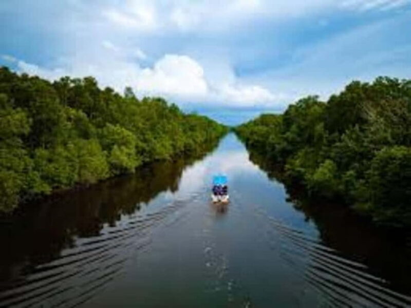 Sabah: Kawa Kawa Private River Cruise w/ Monkeys & Fireflies - An In-Depth Look at the Kawa Kawa River Cruise Experience