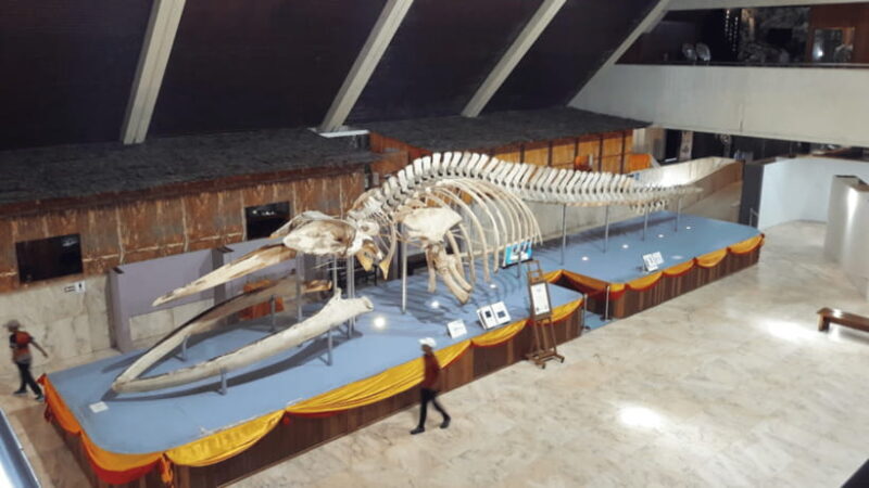 Sabah : Kota Kinabalu City Tour - FAQ