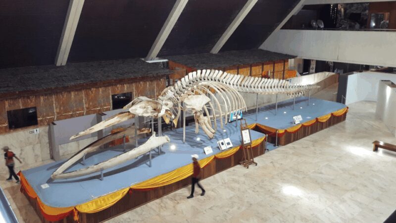 Sabah : Kota Kinabalu City Tour - Final Thoughts