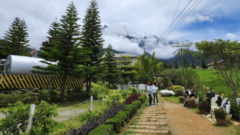 Sabah: Kundasang Nature Day Tour - What Could Be Better