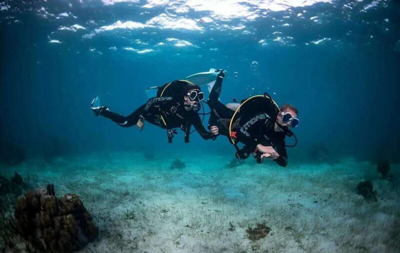 Sabah : Mamutik & Sapi Island Excursion Ticket - An In-Depth Look at the Sabah Mamutik & Sapi Island Excursion