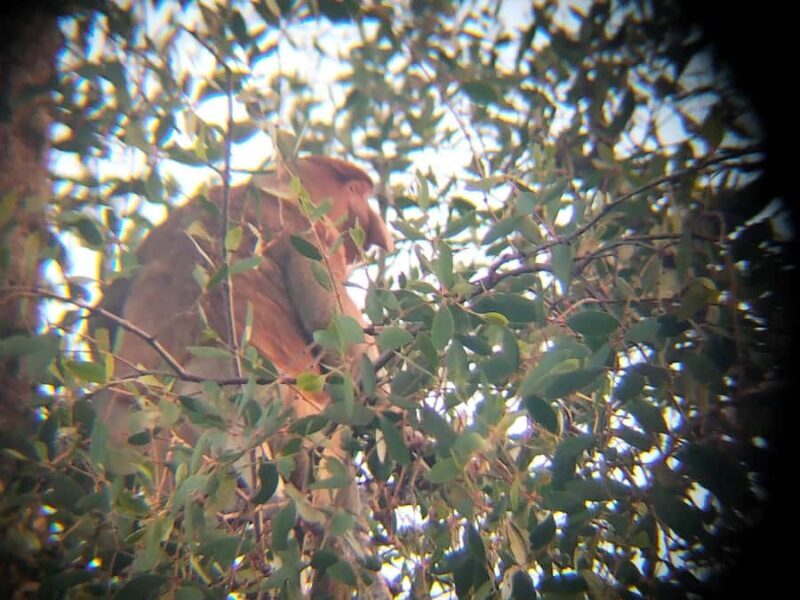 Sabah: Mari Mari Cultural Village + Weston Rivercruise - Authenticity and Travel Tips