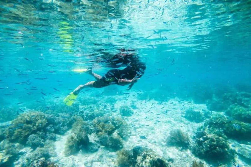 Sabah: Pulau Tiga Snorkeling Day Trip with Lunch - FAQs