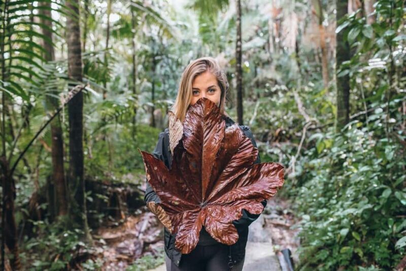 Sabana de la mar: Salto Limon, Cayo Levantado with lunch - Practical Details and Insights