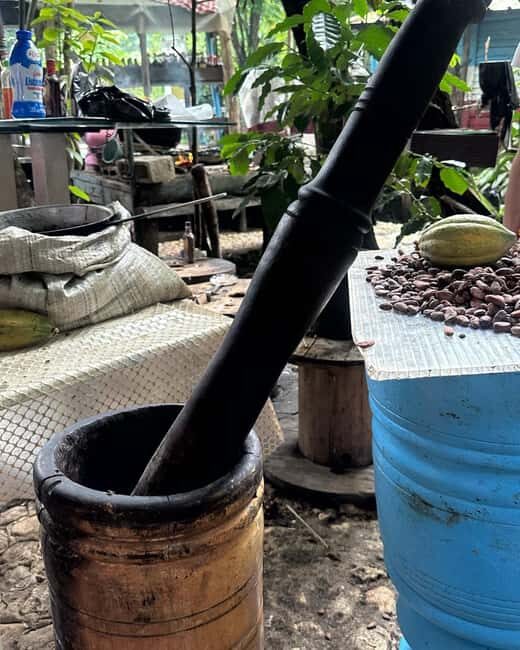 Sabana de la Mar: Yanigua Waterfalls Tour with Lunch - Final Thoughts