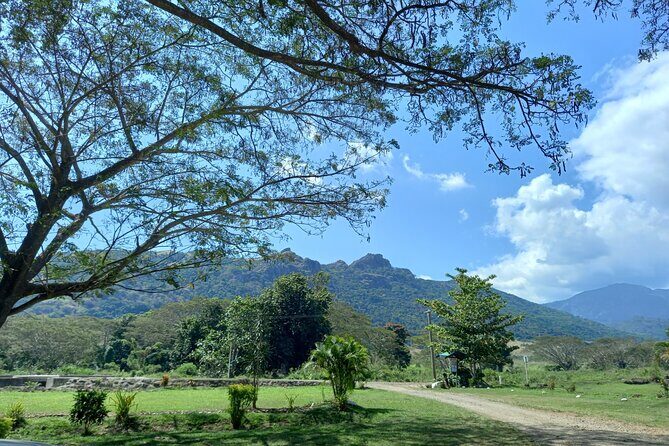 Sabeto Hot Springs and Mud Pool Tour - The Cultural Interlude at First Landing Resort