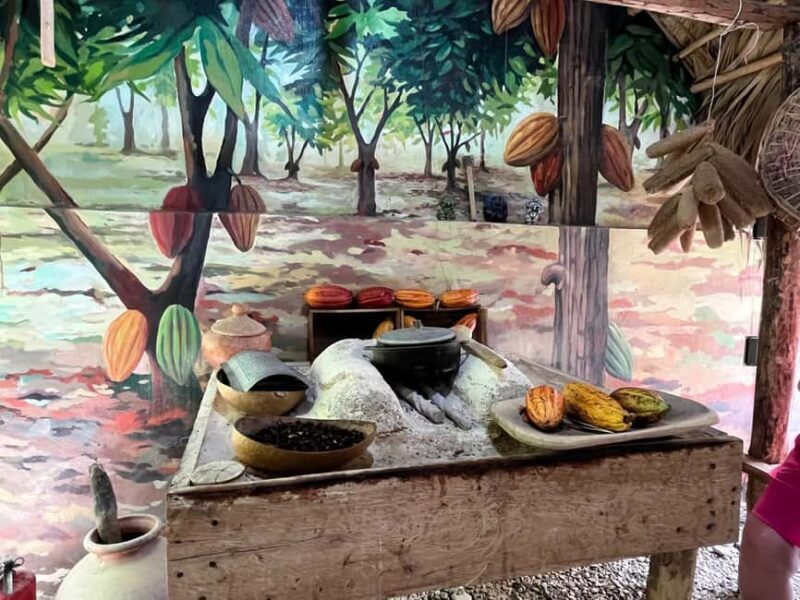 Sabor Dominicano: Rum, Chocolate and Culture Private Tour - Key Points