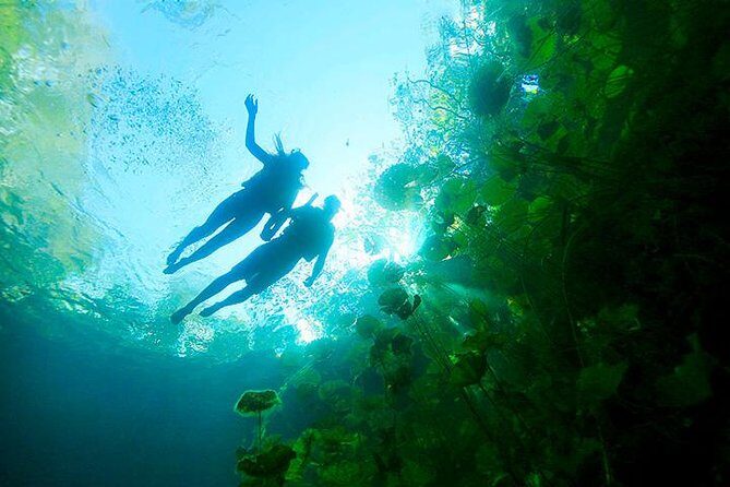 Sacred Adventure at Xenotes! 4 Different Cenotes + Round Transportation - An Overview of the Xenotes Tour