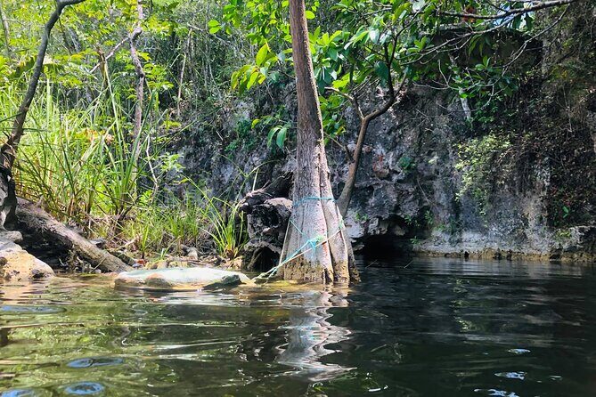 Sacred Adventure at Xenotes! 4 Different Cenotes + Round Transportation - Who Will Love This Tour?