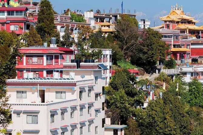 Sacred Footsteps: The Namobuddha-Panauti Day Hike Experience - The Experience in Depth