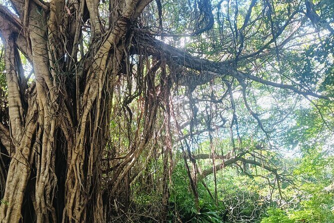 Sacred Meditation Tour in Itoman City - A Deep Dive into the Sacred Meditation Experience