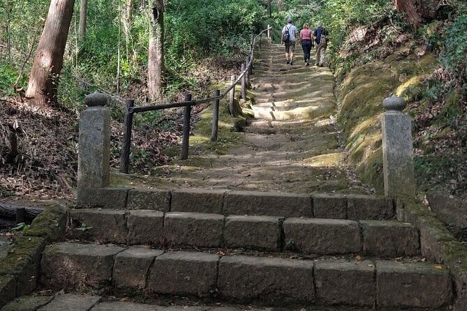Sacred Mountain Oyama Walking Tour Culture and Nature - Who Will Enjoy This Tour?