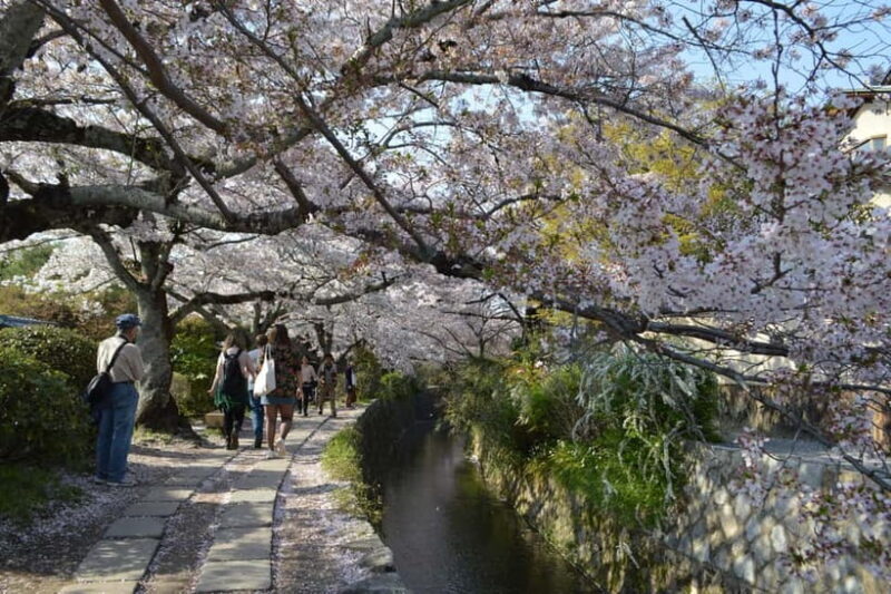 Sacred Pathways: Discover the Philosopher's Path of Kyoto - Key Points