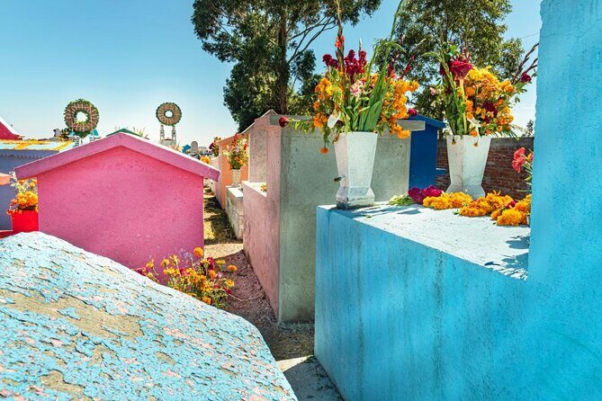 Sacred Souls: Dia de los Muertos Cultural Tour - What to Expect at Each Stop