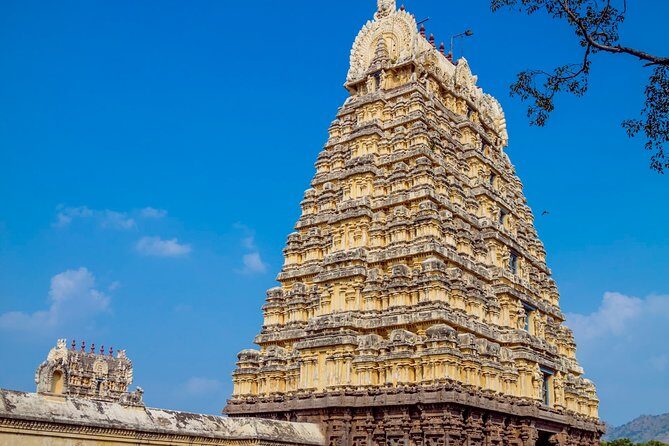 Sacred Temple Tour: Chennai to Tiruvannamalai & Golden Temple - The Experience and Value